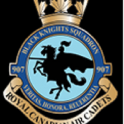 cropped-907logo-1.png – 907 Black Knights Squadron